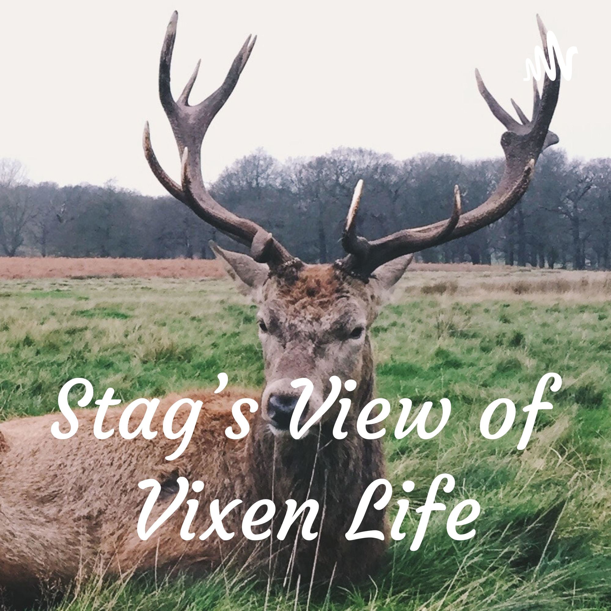 Stag’s View of Vixen Life