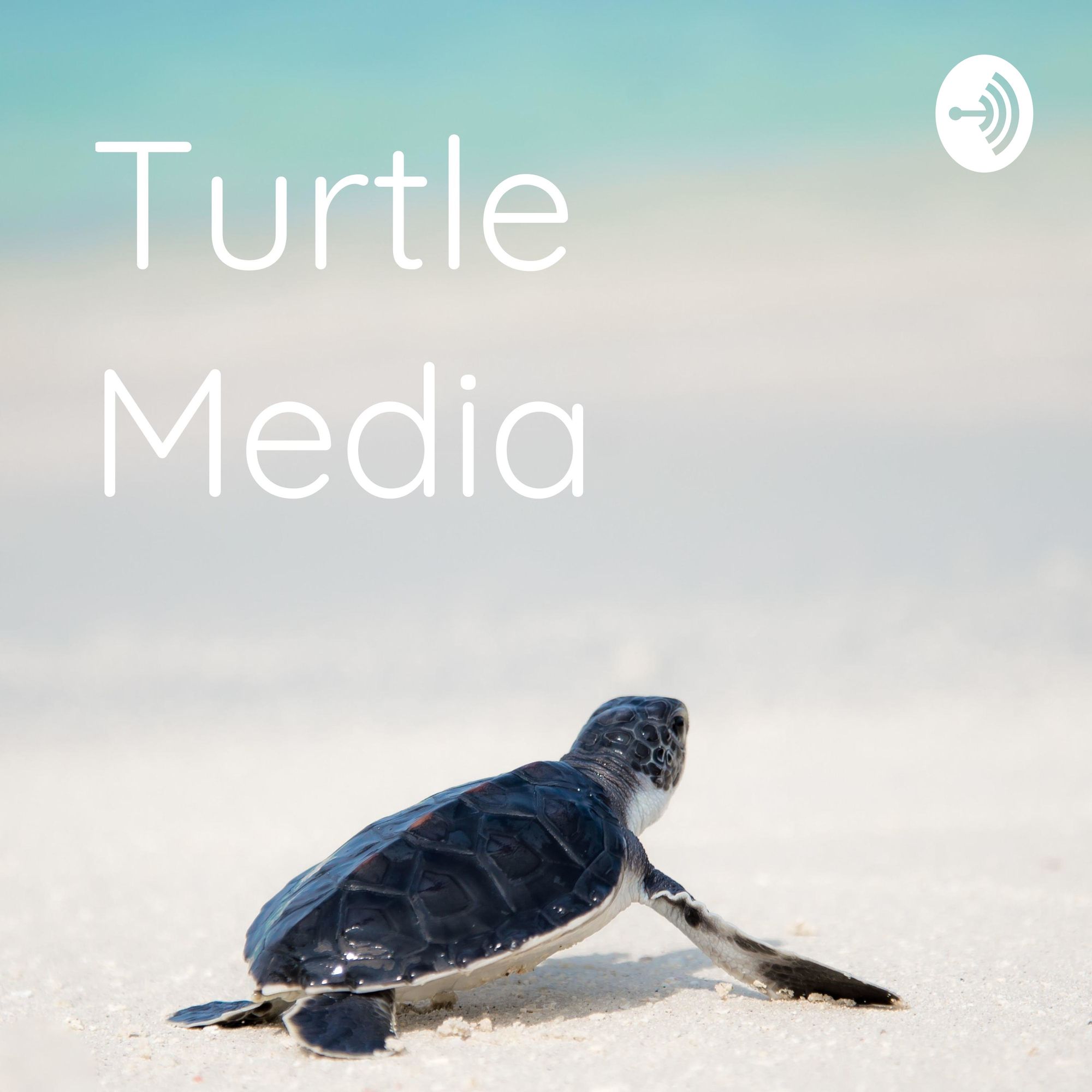 Turtle Media