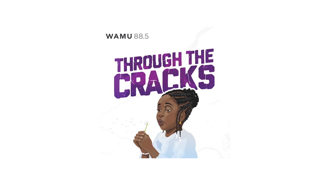 Through The Cracks through-the-cracks