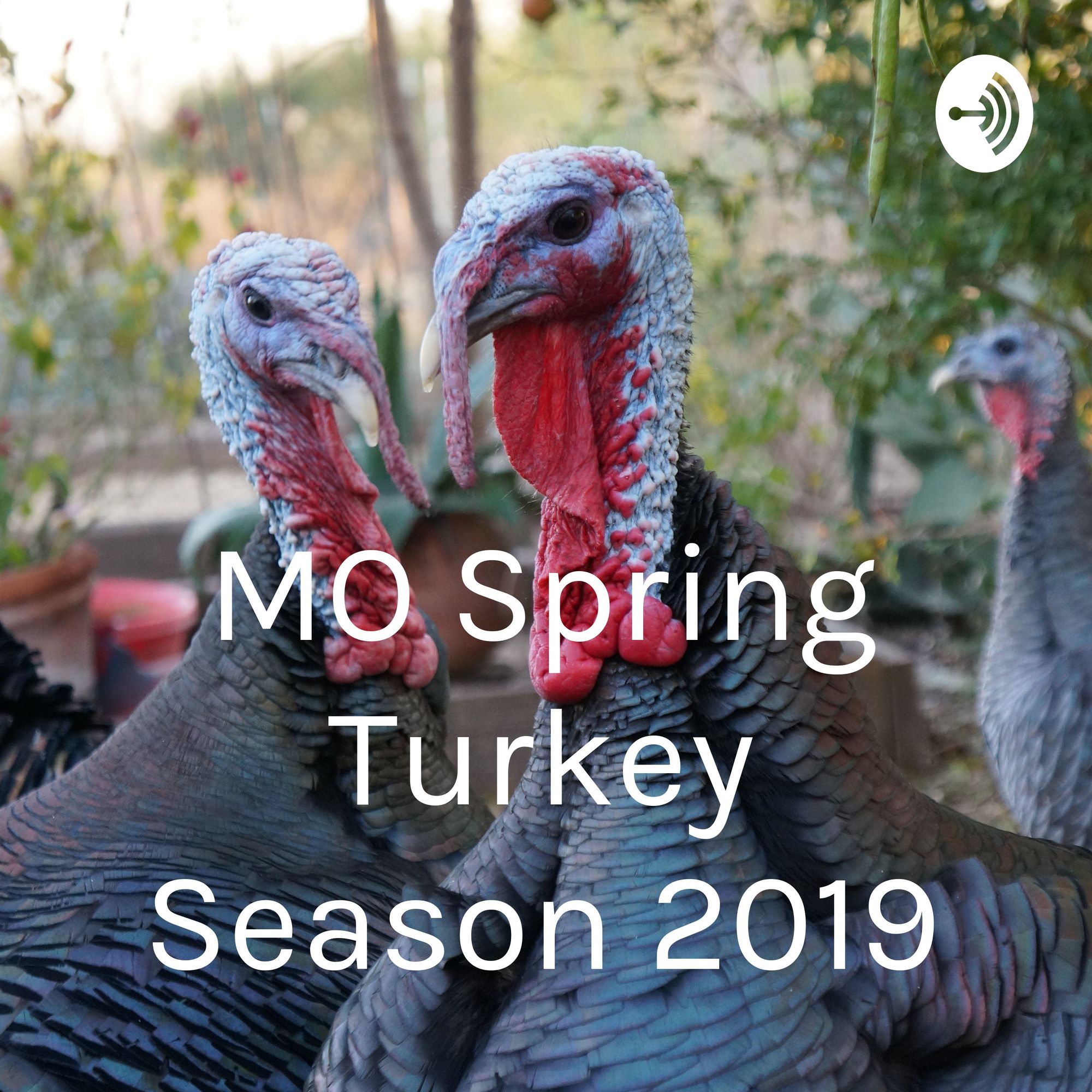 MO Spring Turkey Season 2019