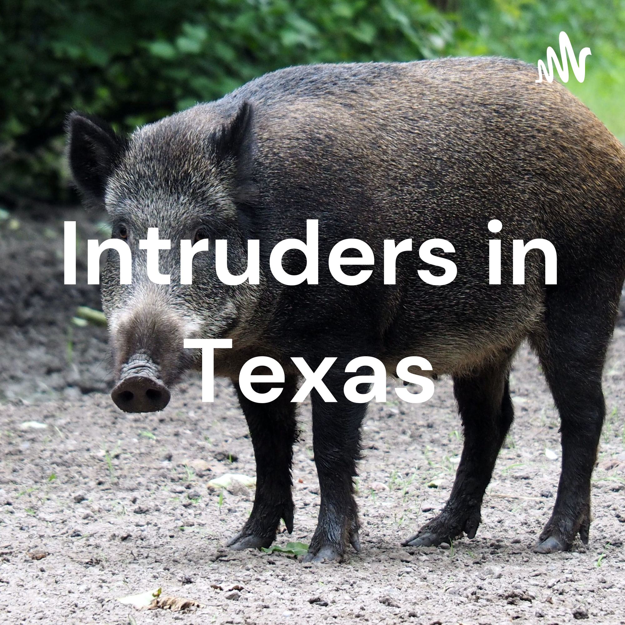 Intruders in Texas