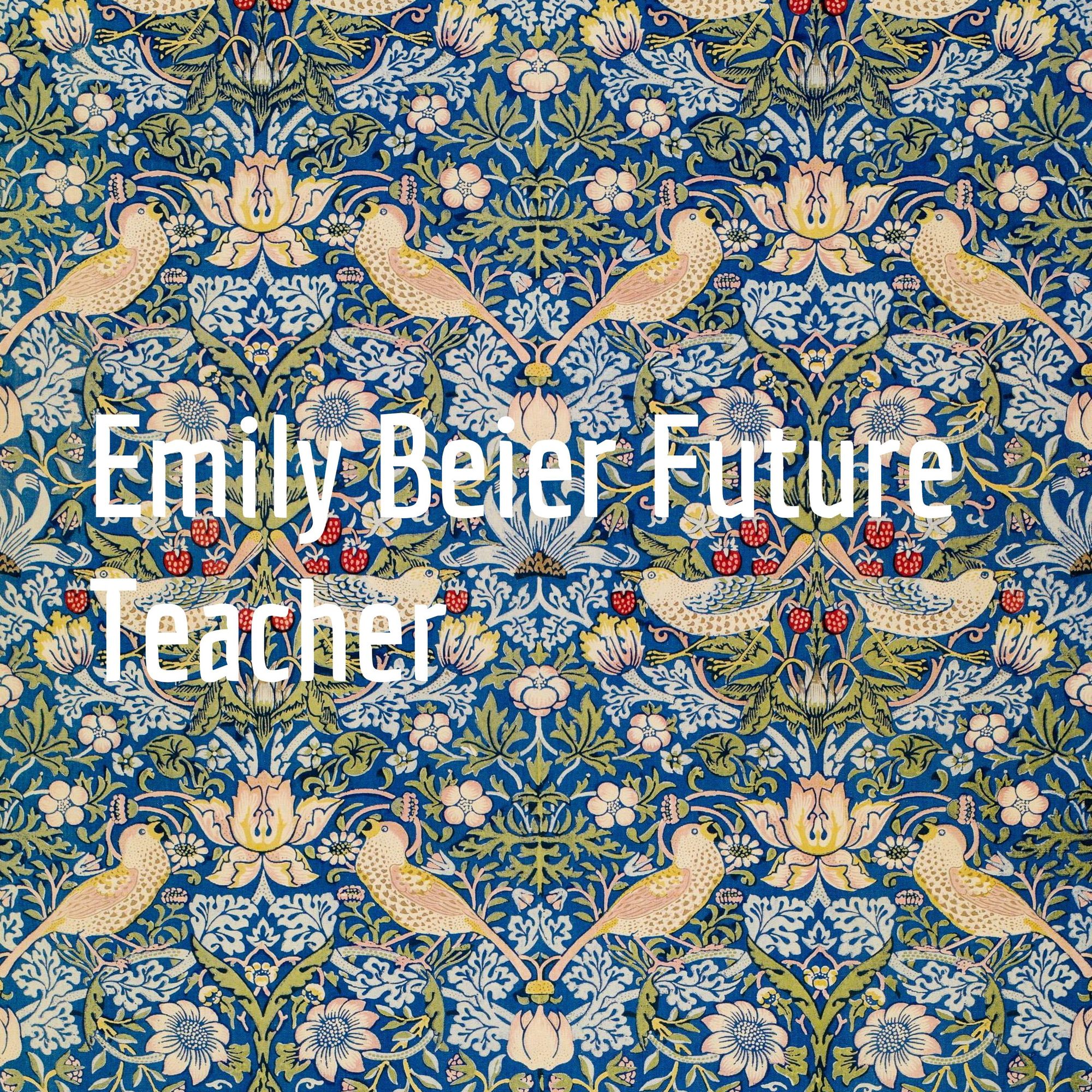 Emily Beier Future Teacher
