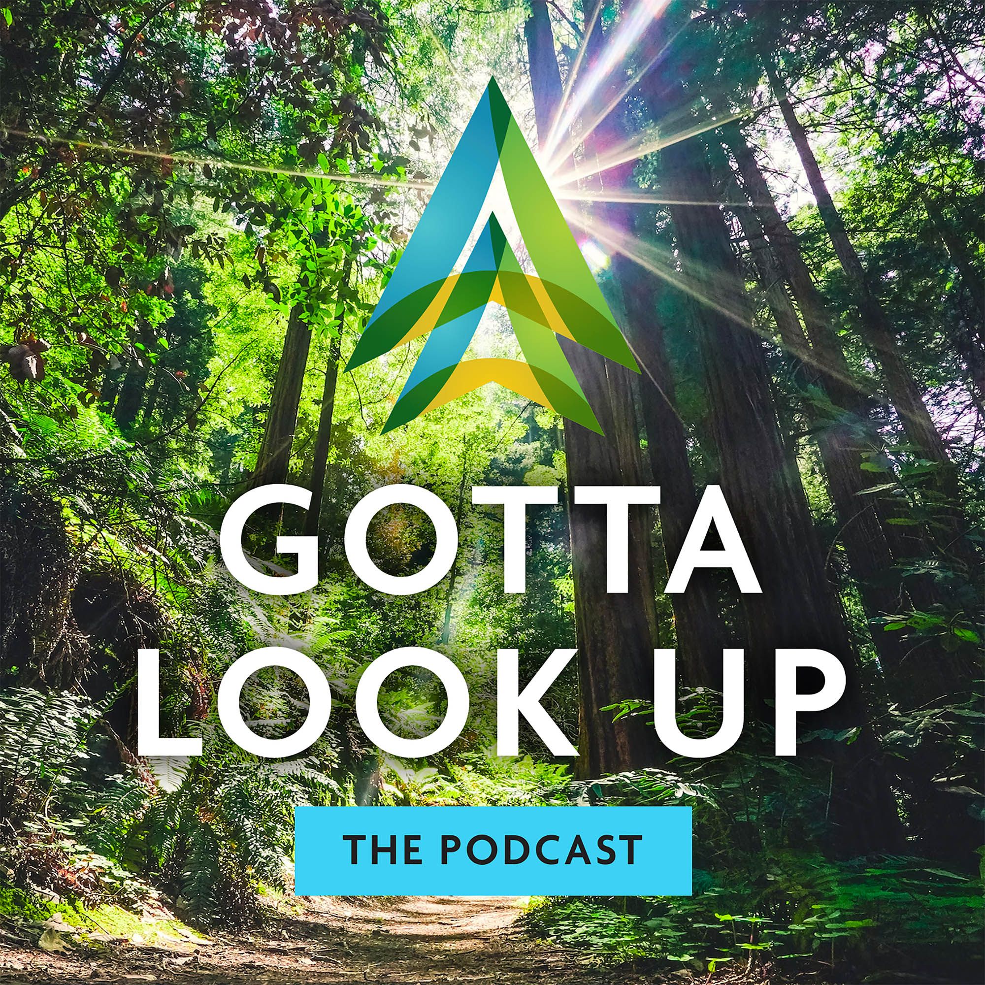 Gotta Look Up Podcast